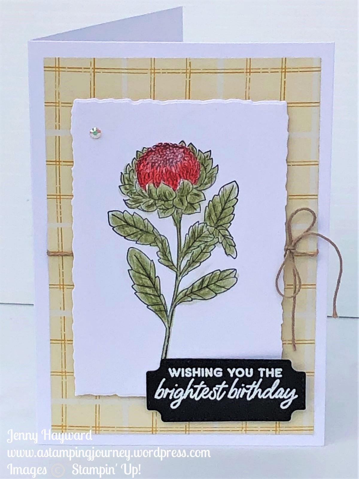 ANOTHER EVERLASTING BEAUTY CARD! – A Stamping Journey